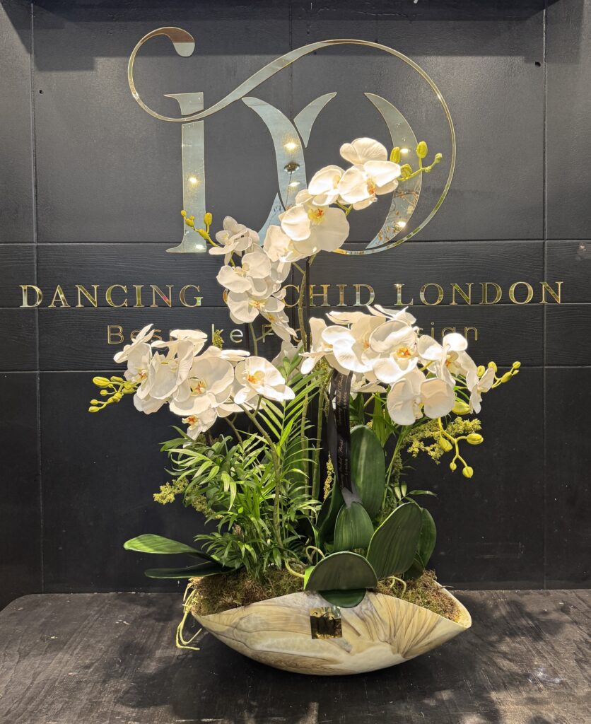 Orchid shell - Dancing Orchid